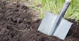Important Garden Tools That Every Gardener Should Have